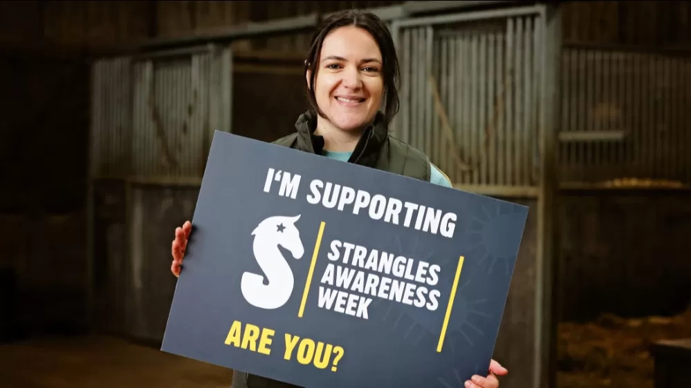 Strangles Awareness Week 2025 | Redwings Horse Sanctuary